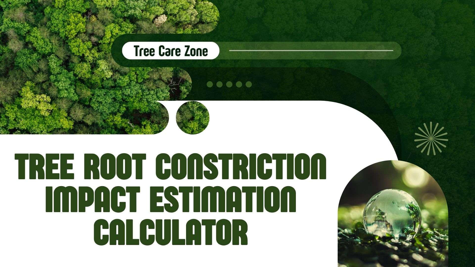 Tree Root Constriction Impact Estimation Calculator Guide