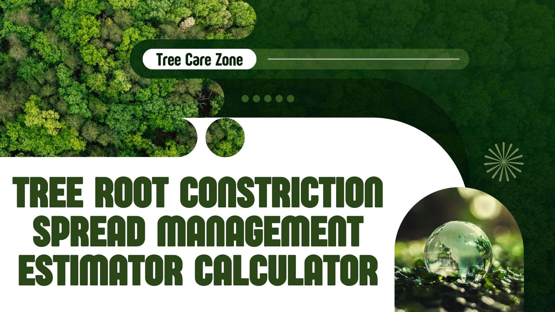 Tree Root Constriction Spread Management Estimator Calculator