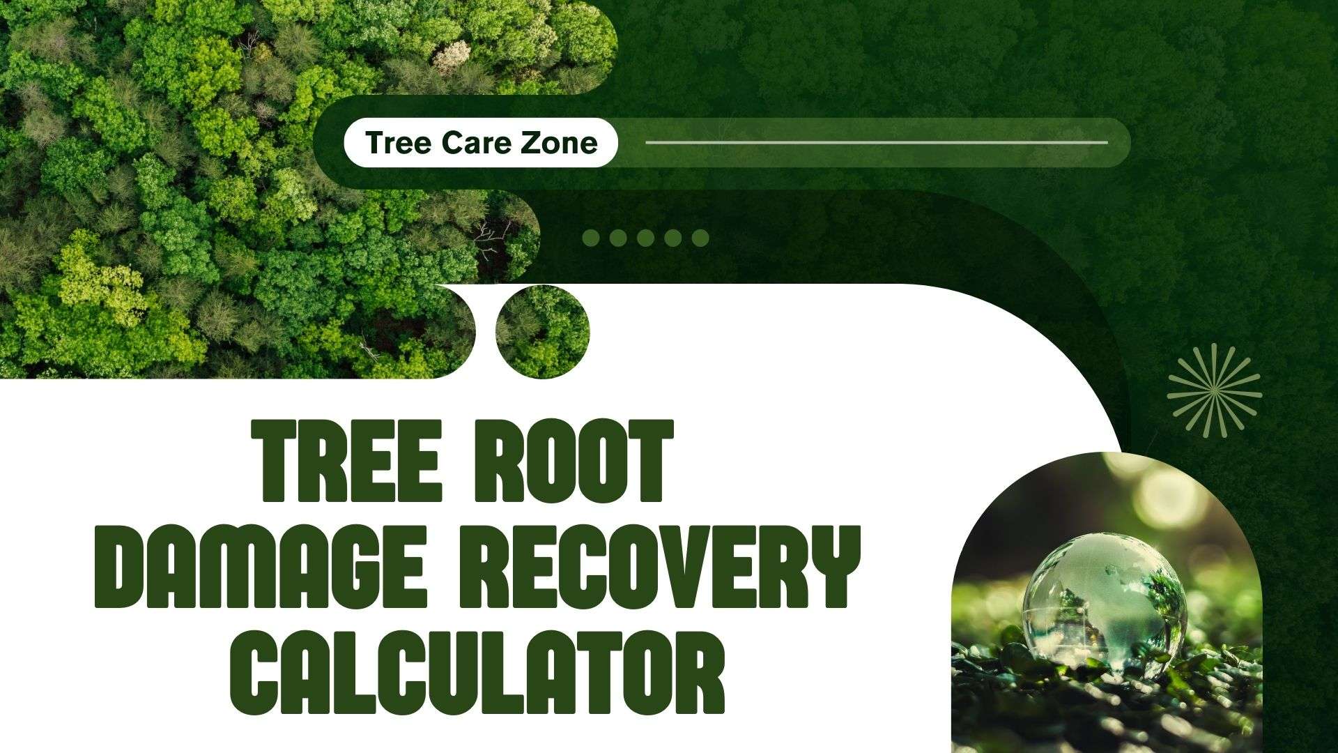 Tree Root Damage Recovery Calculator for Trees
