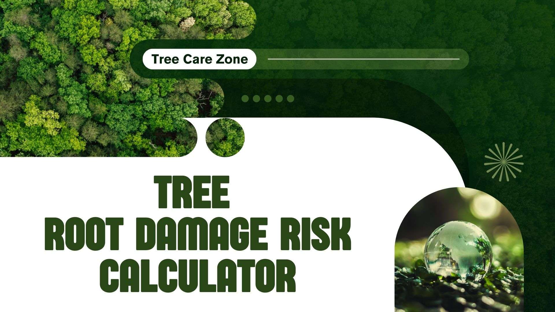Tree Root Damage Risk Calculator for Tree Care