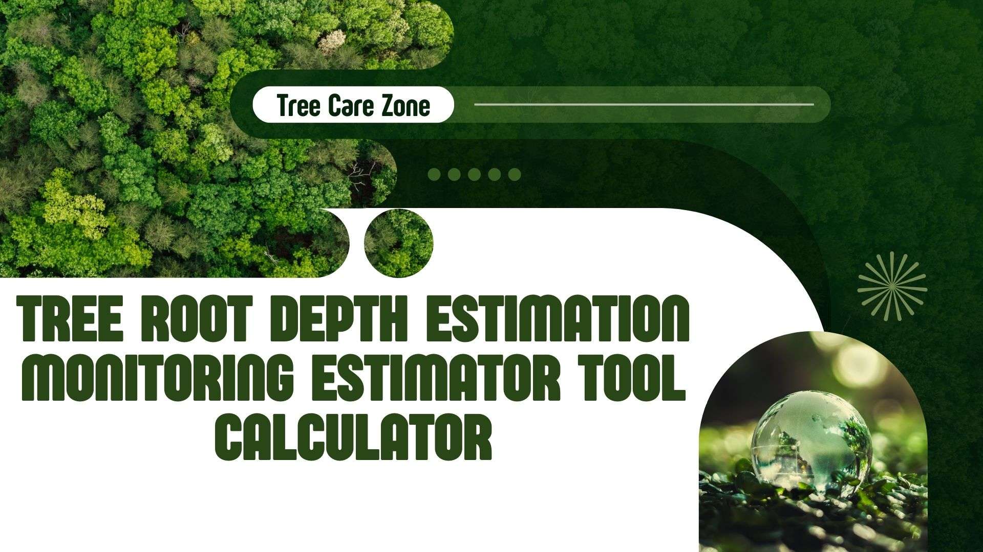 Tree Root Depth Estimation Monitoring Estimator Tool Calculator