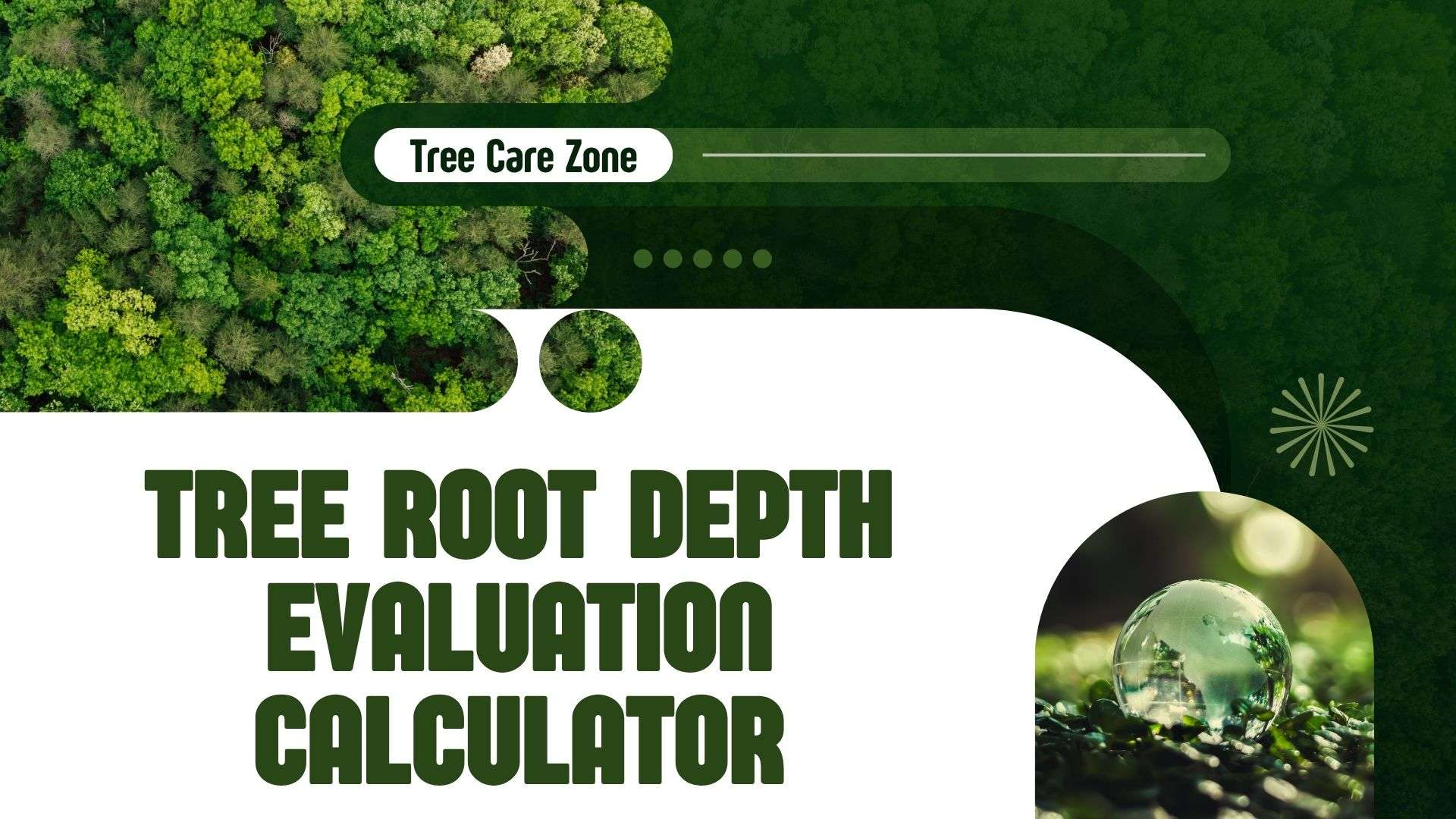Tree Root Depth Evaluation Calculator Tool