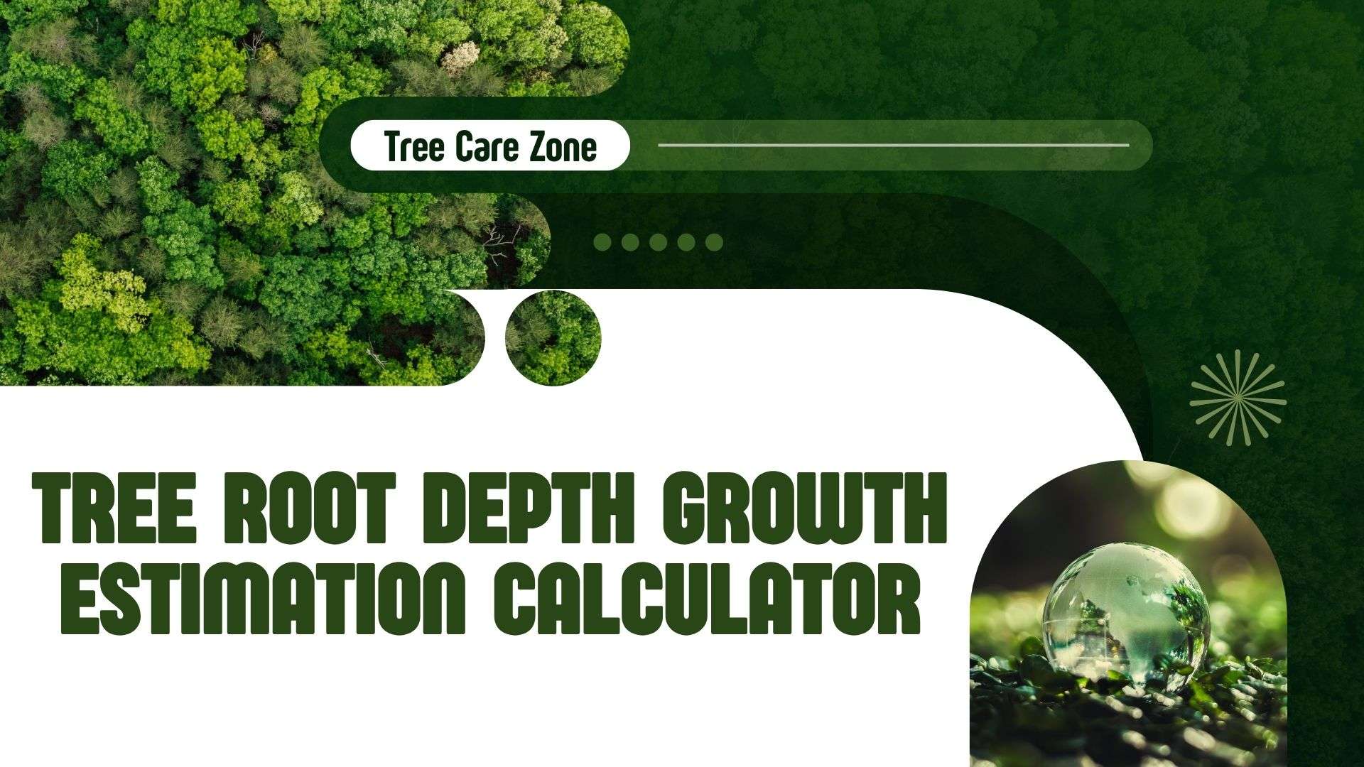 Tree Root Depth Growth Estimation Calculator Guide