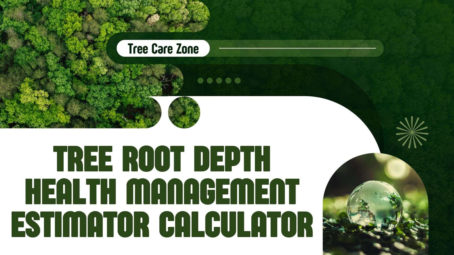 Tree Root Depth Health Management Estimator Calculator Guide
