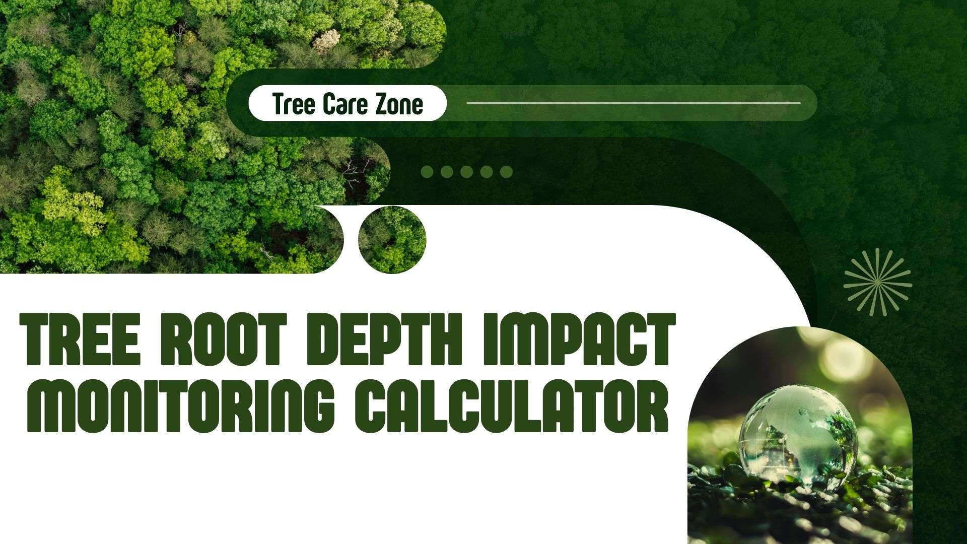 Tree Root Depth Impact Monitoring Calculator Tool