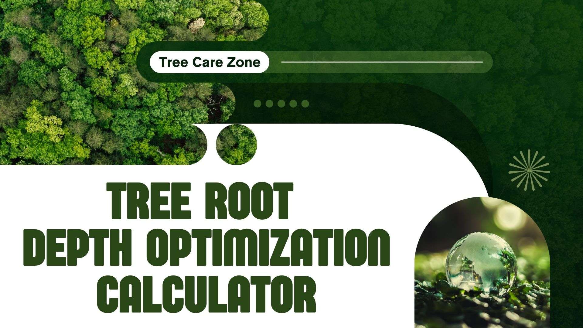 Tree Root Depth Optimization Calculator for Tree Care