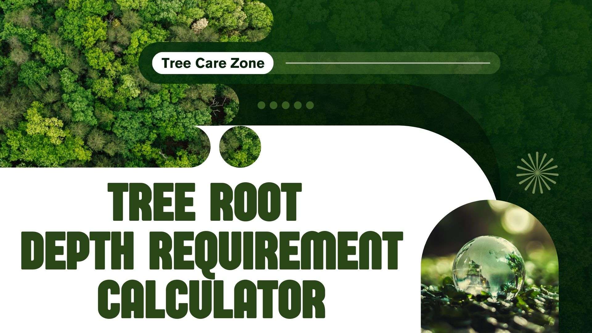 Tree Root Depth Requirement Calculator: Protect Trees