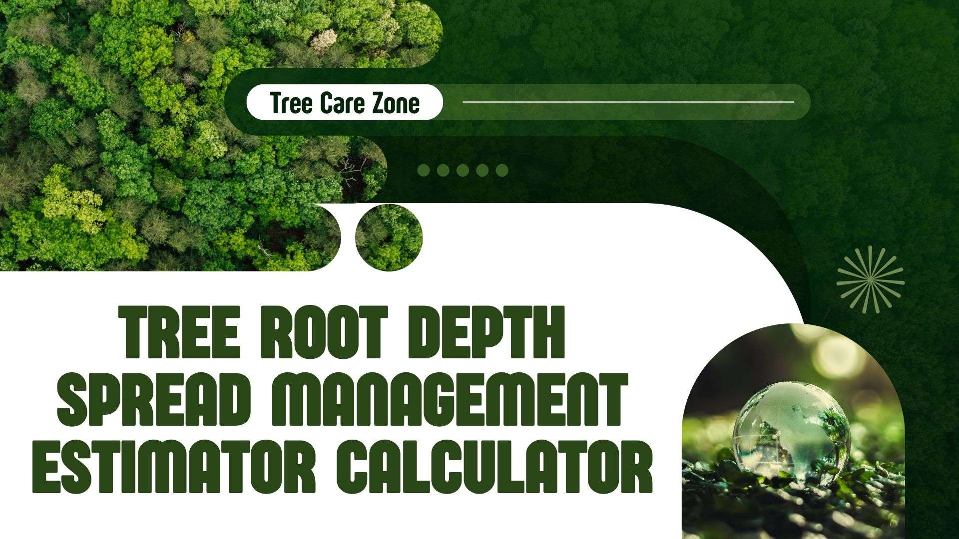 Tree Root Depth Spread Management Estimator Calculator Tool