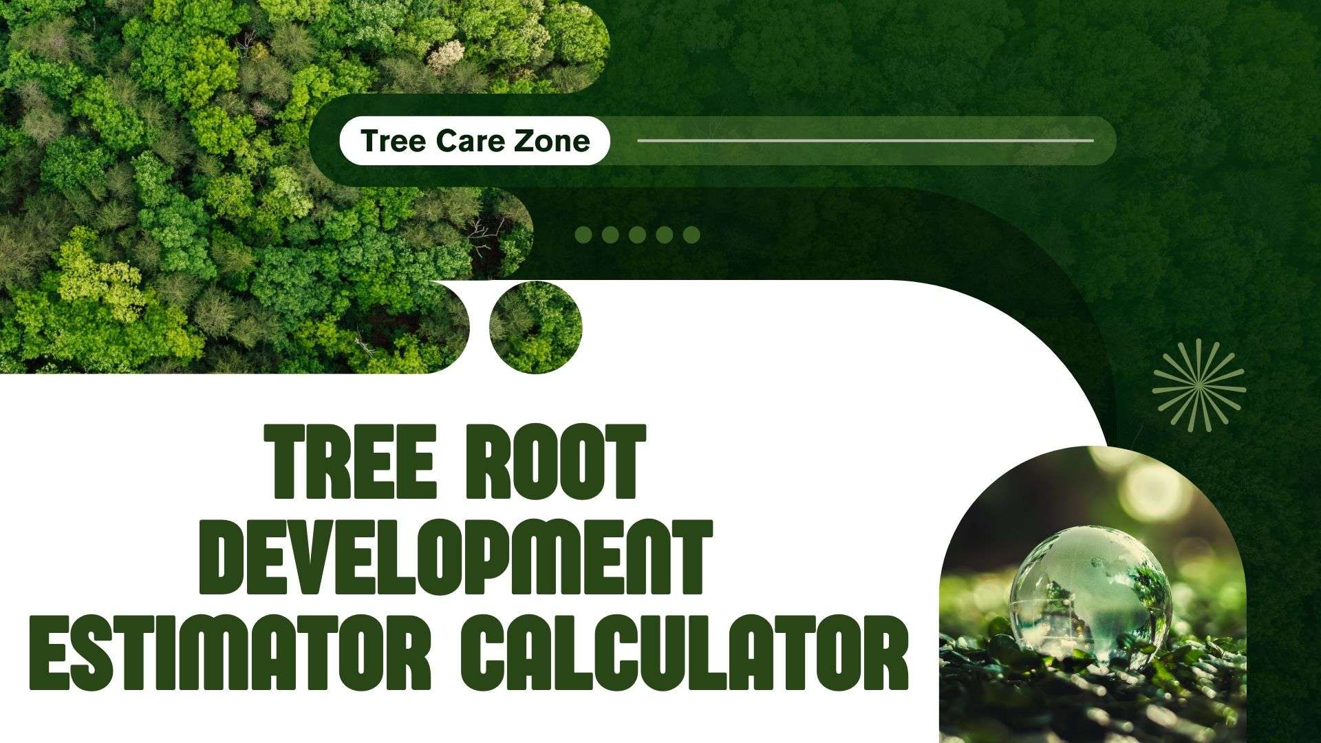 Tree Root Development Estimator Calculator Tool