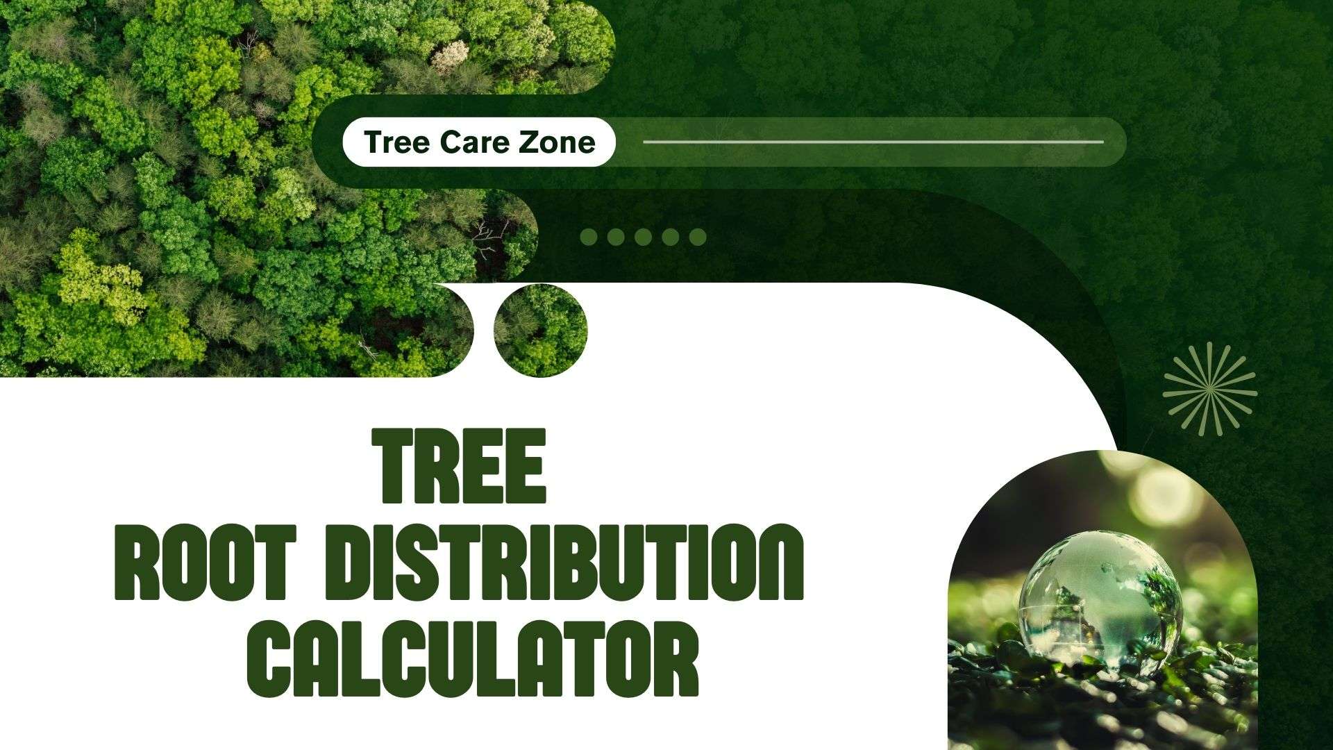 Tree Root Distribution Calculator: Plan Tree Planting