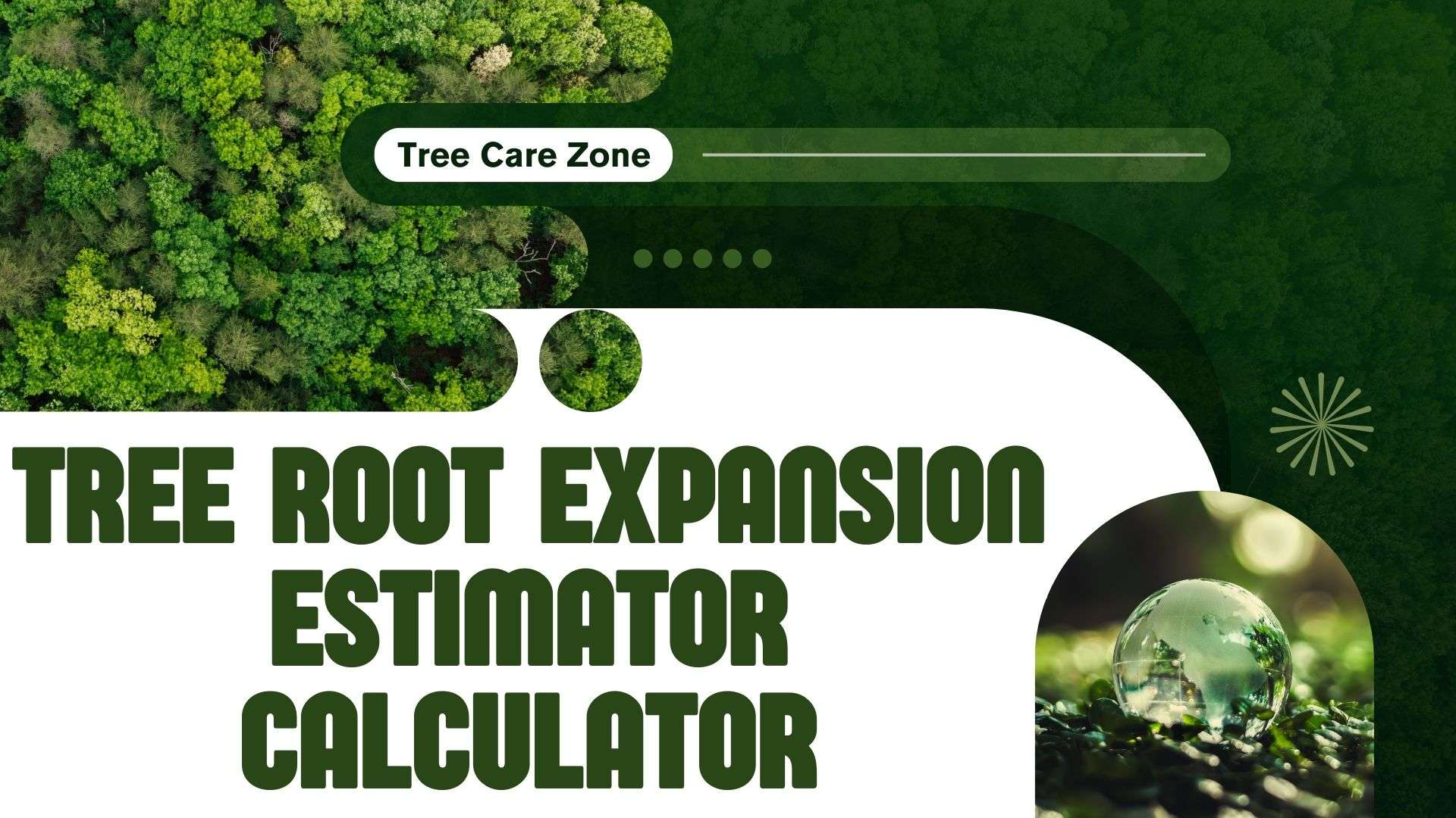 Tree Root Expansion Estimator Calculator for Trees