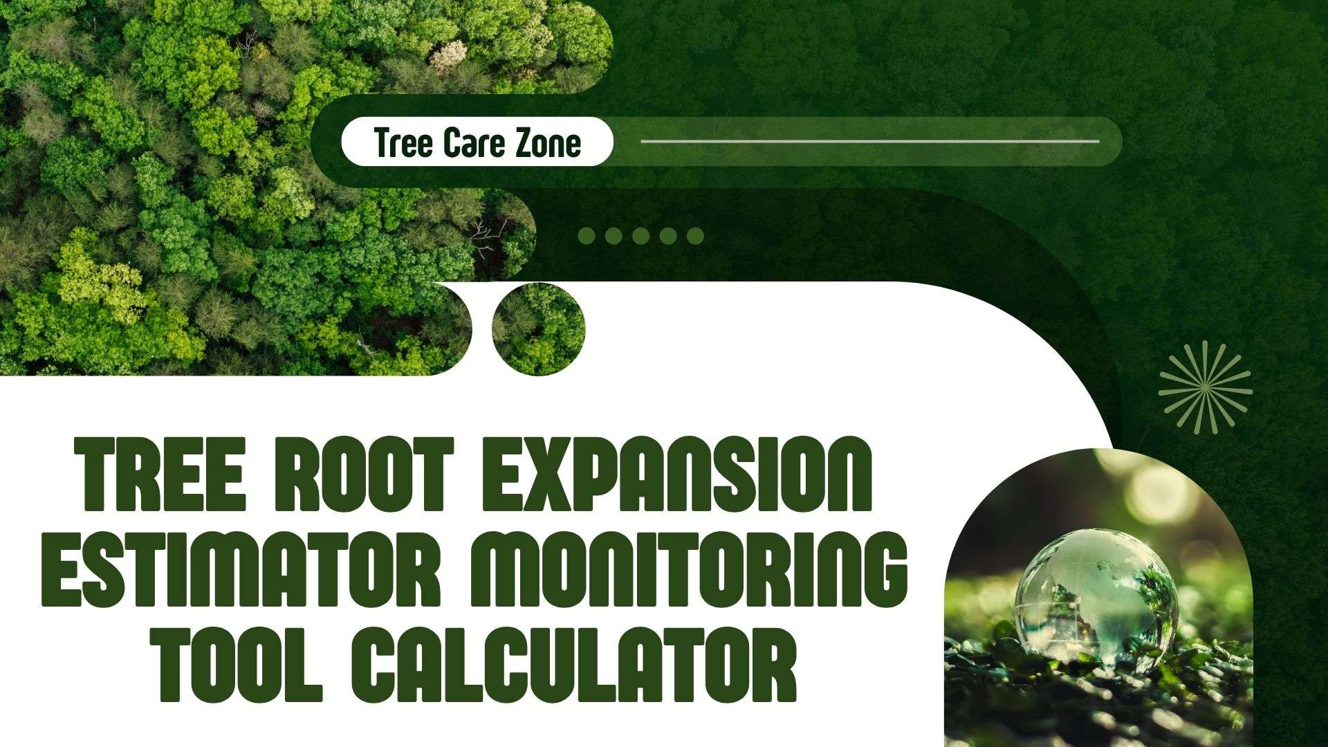 Tree Root Expansion Estimator Monitoring Tool Calculator Guide