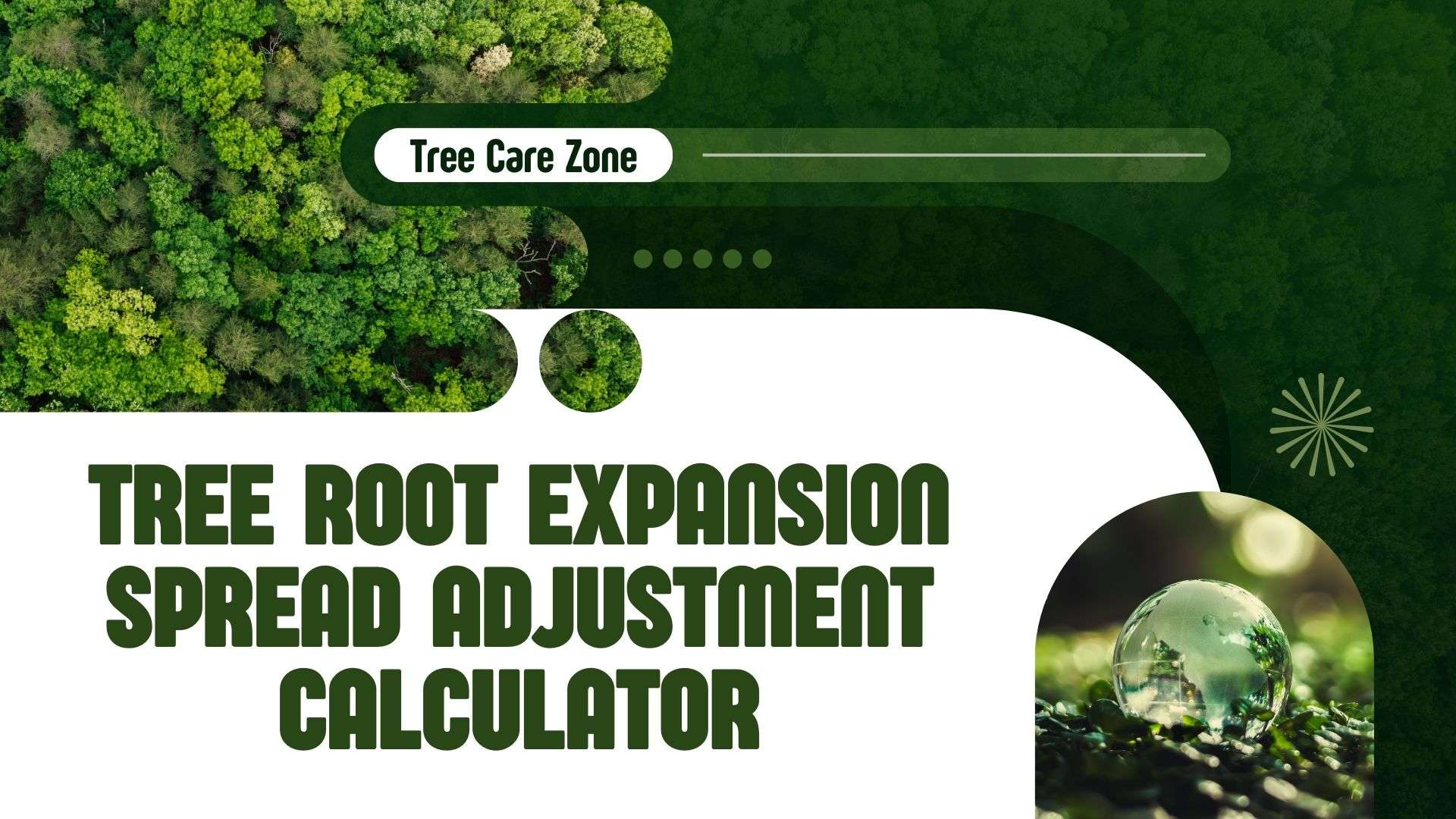 Tree Root Expansion Spread Adjustment Calculator Guide