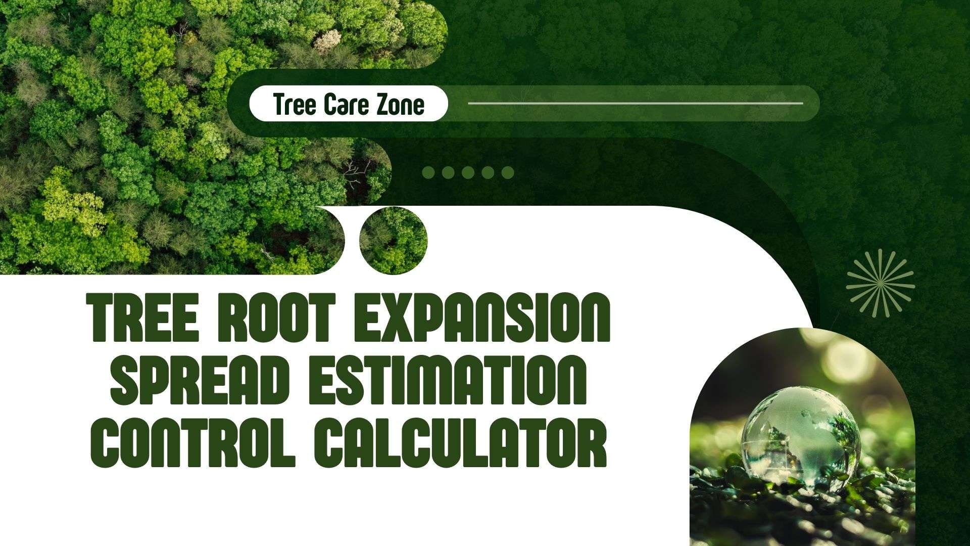 Tree Root Expansion Spread Estimation Control Calculator Guide