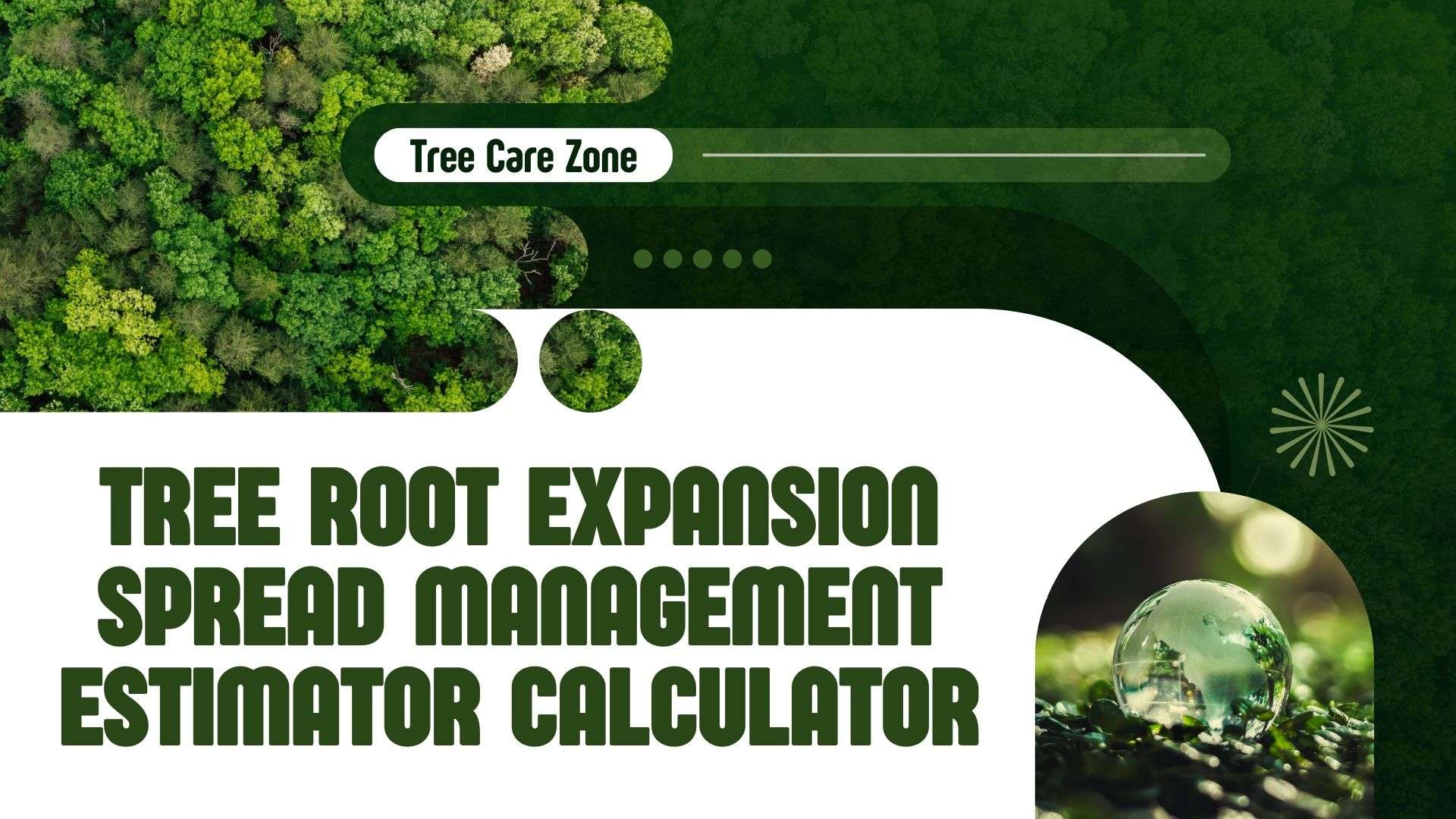 Tree Root Expansion Spread Management Estimator Calculator Aid