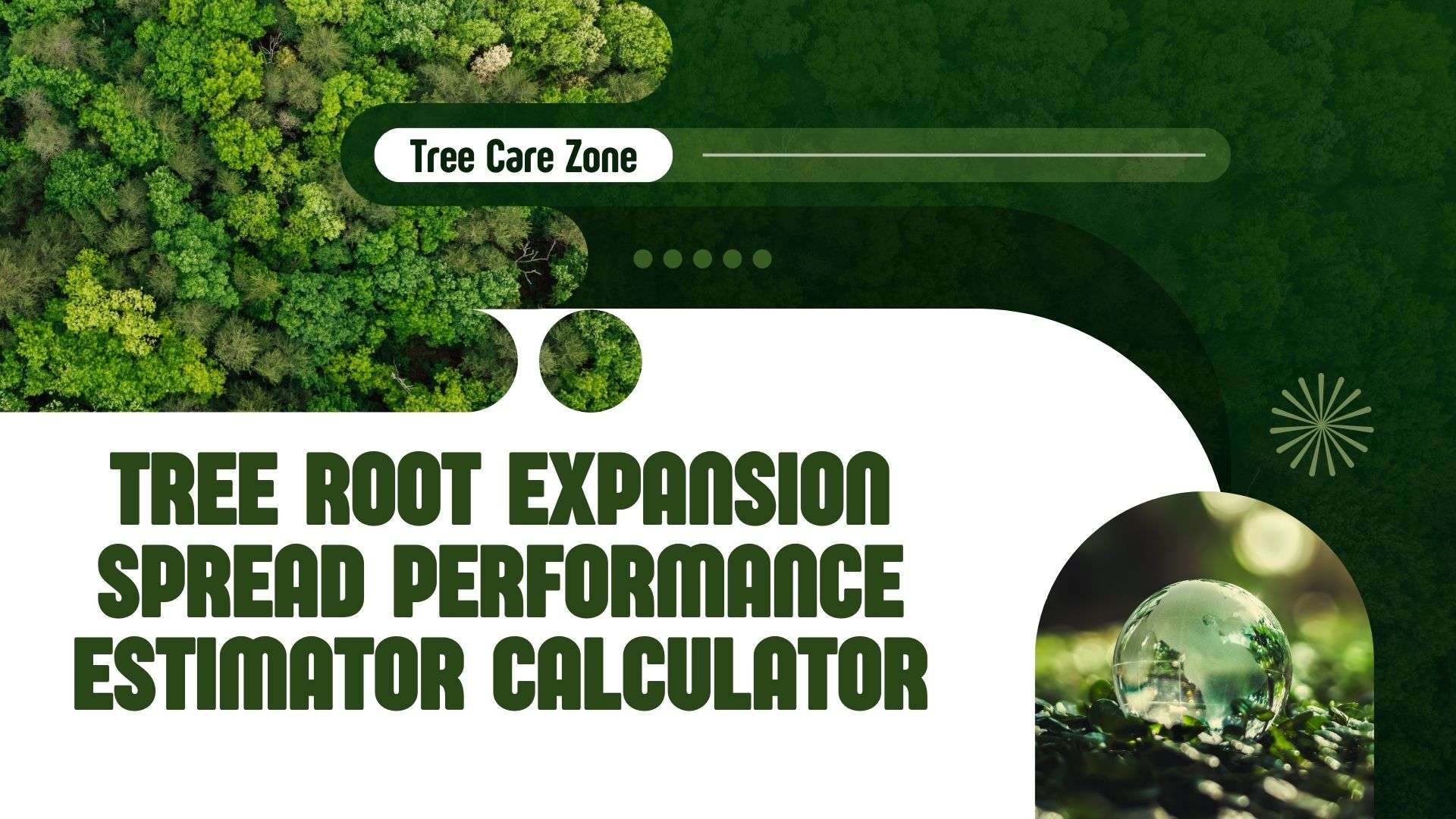Tree Root Expansion Spread Performance Estimator Calculator Aid