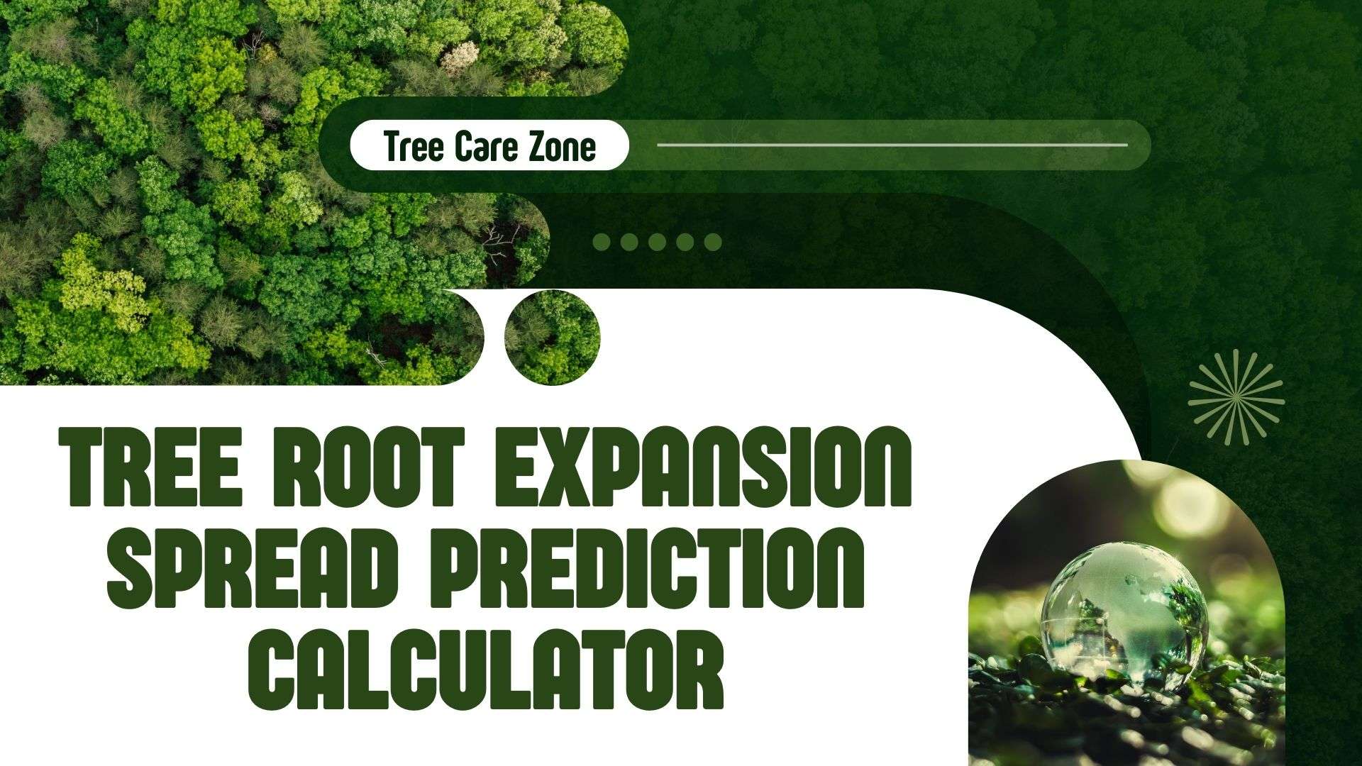 Tree Root Expansion Spread Prediction Calculator Tool