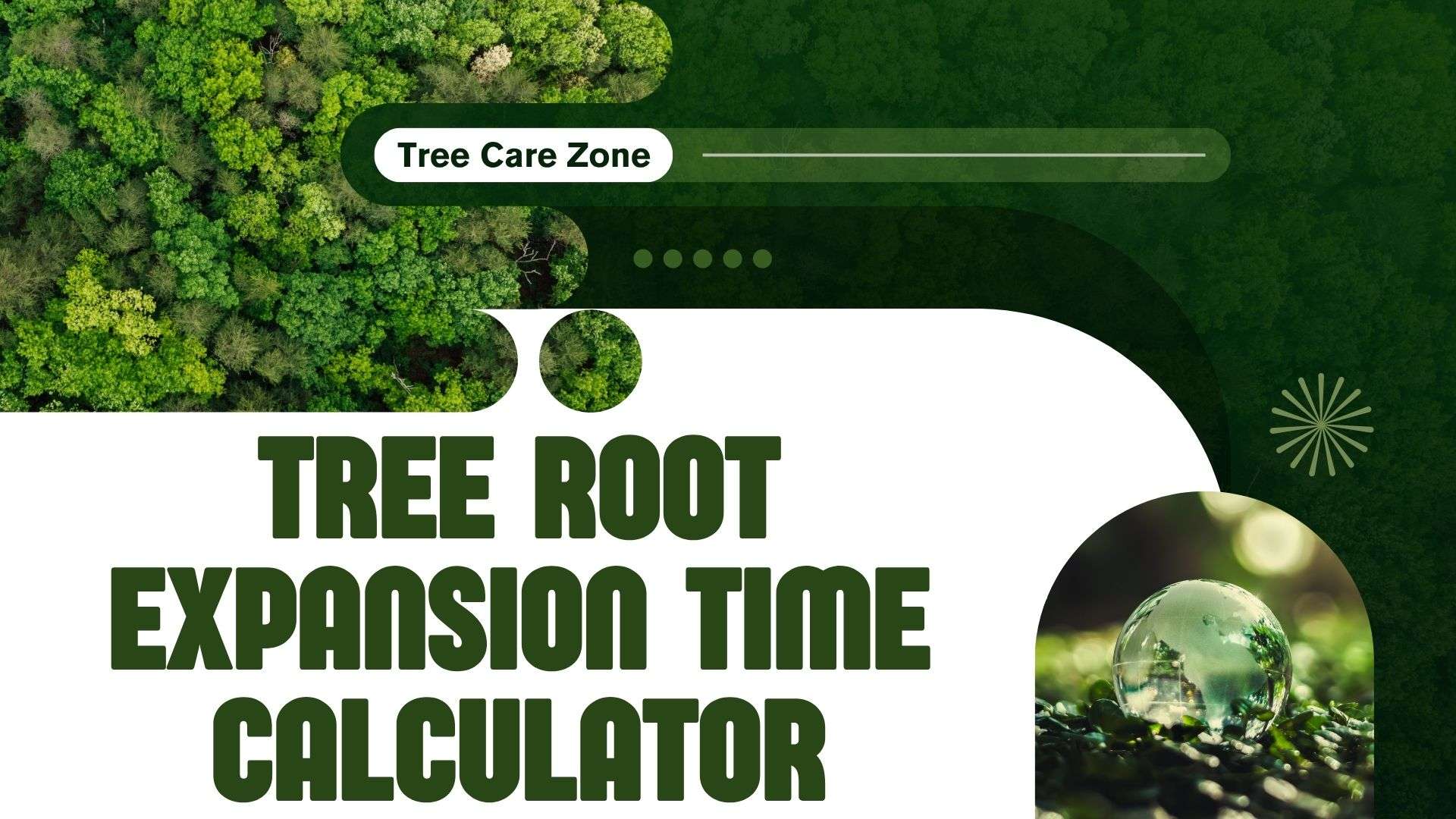 Tree Root Expansion Time Calculator - Free Tool