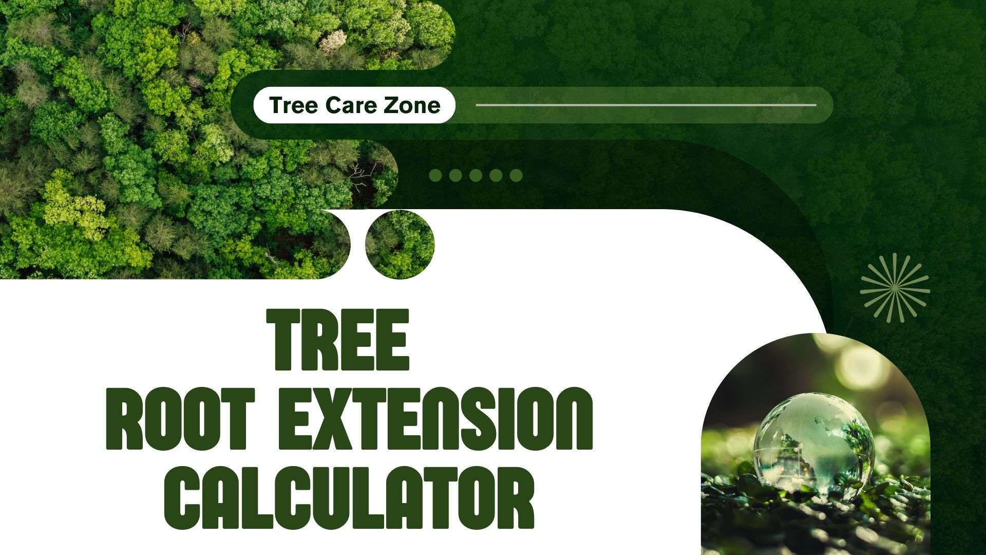 Tree Root Extension Calculator for Healthy Trees