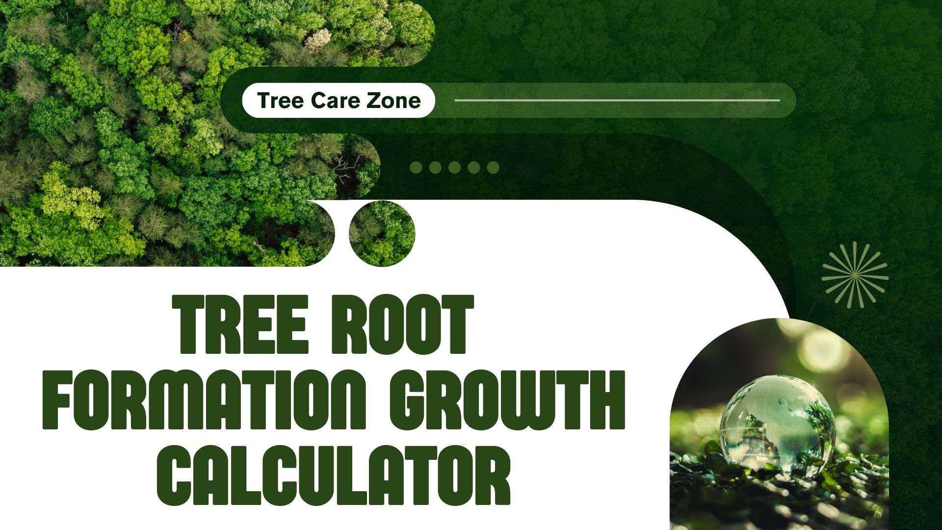 Tree Root Formation Growth Calculator Tool