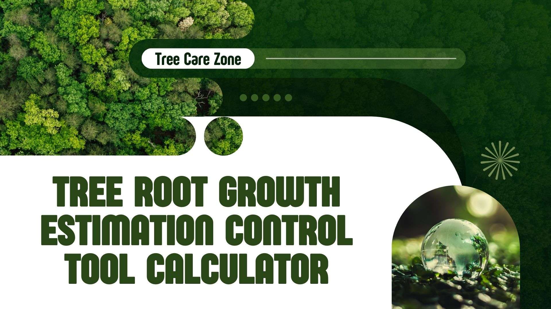 Tree Root Growth Estimation Control Tool Calculator Tool