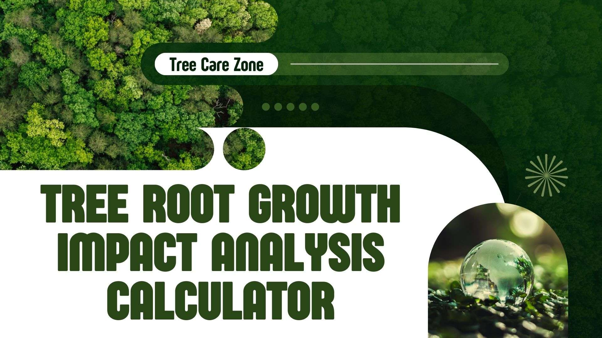 Tree Root Growth Impact Analysis Calculator Guide