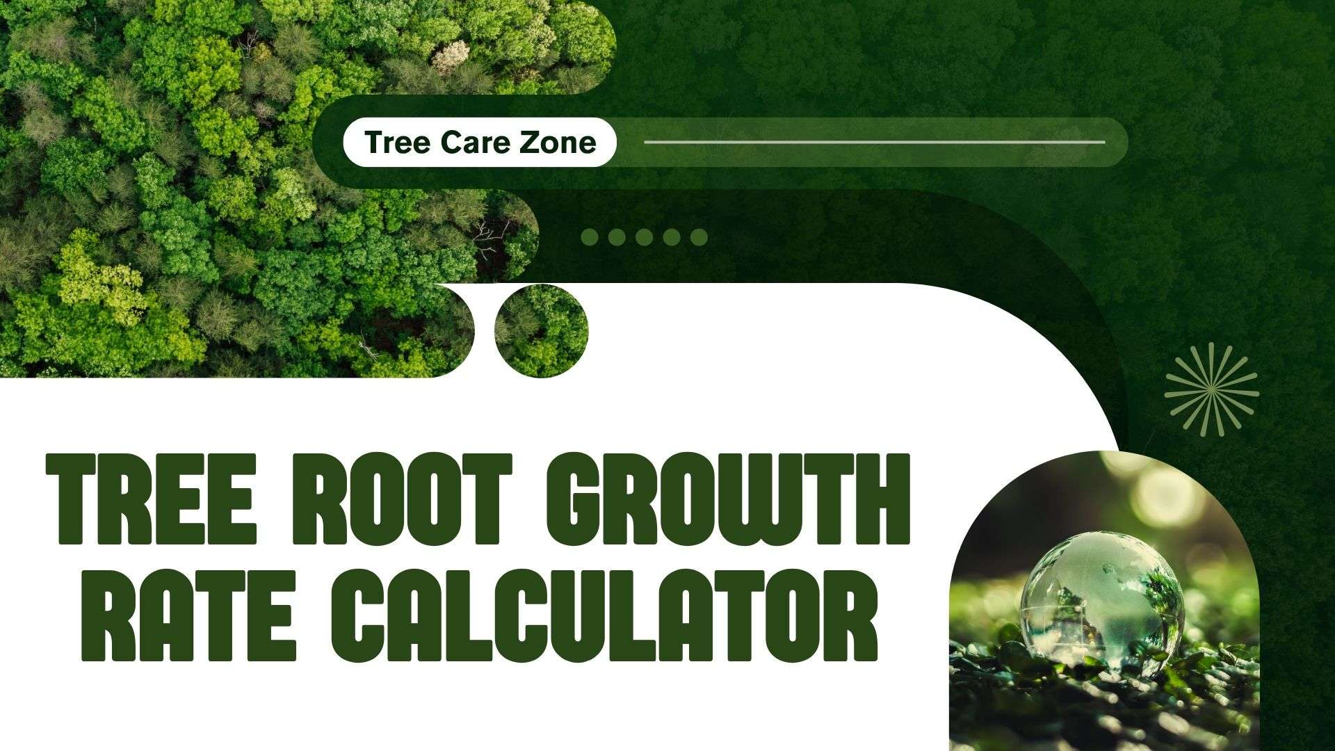 Tree Root Growth Rate Calculator for Any Tree