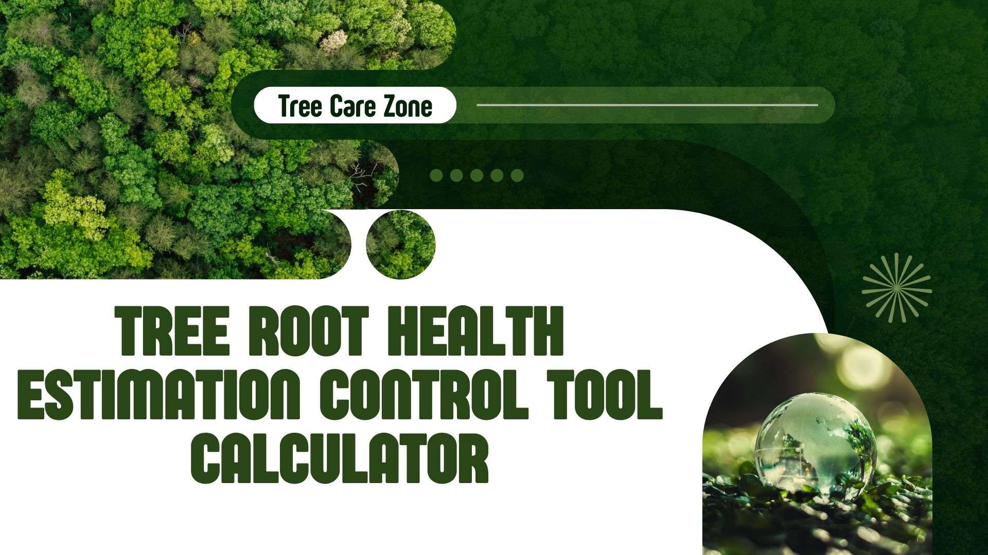 Tree Root Health Estimation Control Tool Calculator Guide