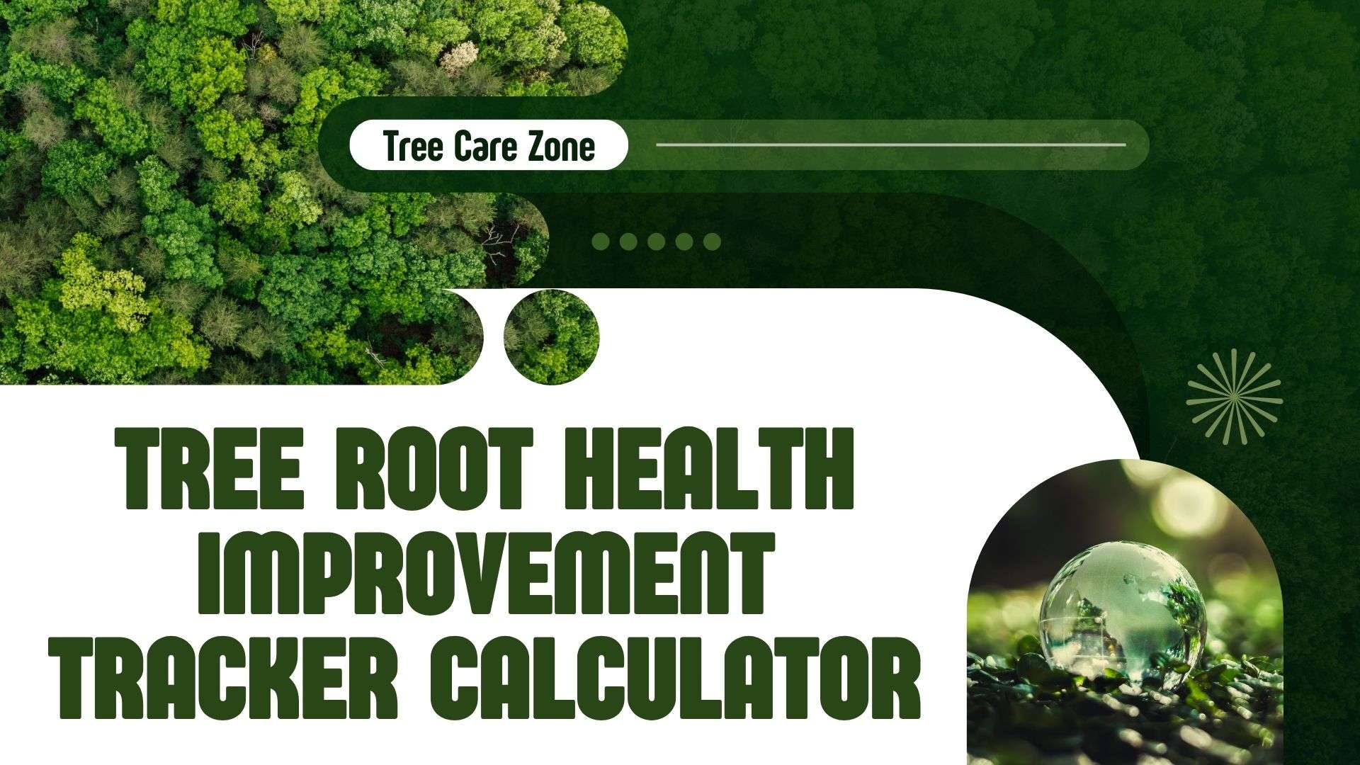 Tree Root Health Improvement Tracker Calculator Guide
