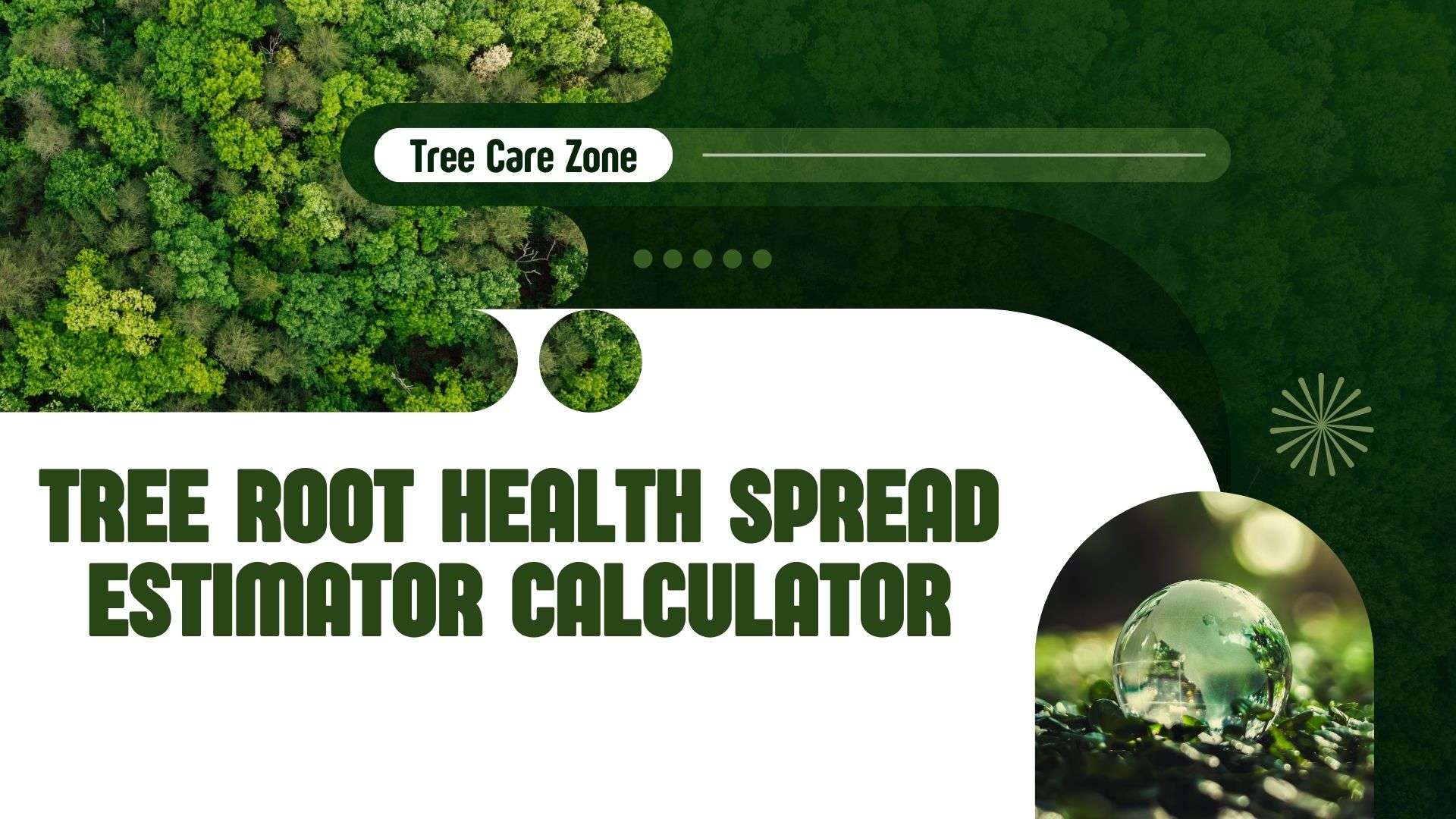 Tree Root Health Spread Estimator Calculator Tool