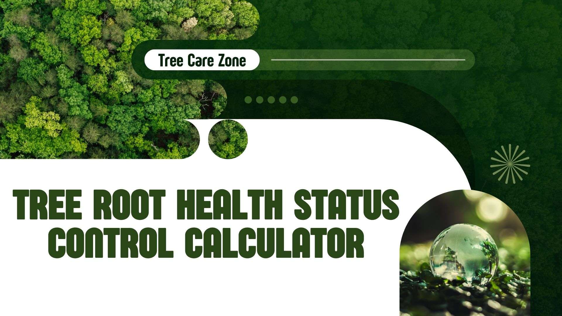 Tree Root Health Status Control Calculator Tool