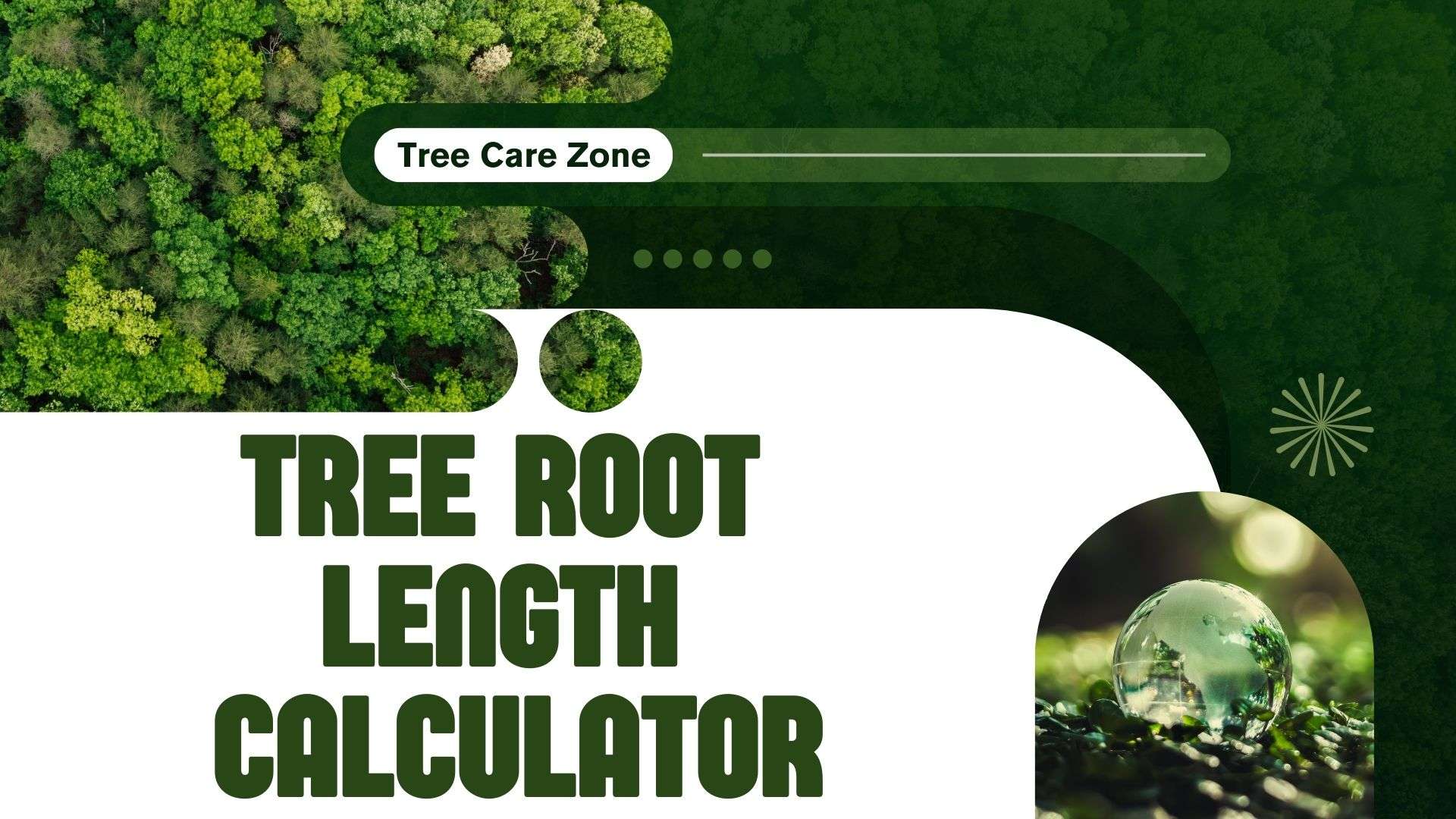 Tree Root Length Calculator: Protect Trees Easily