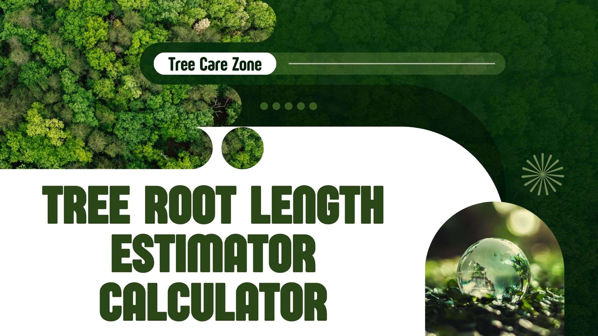 Tree Root Length Estimator Calculator For Trees