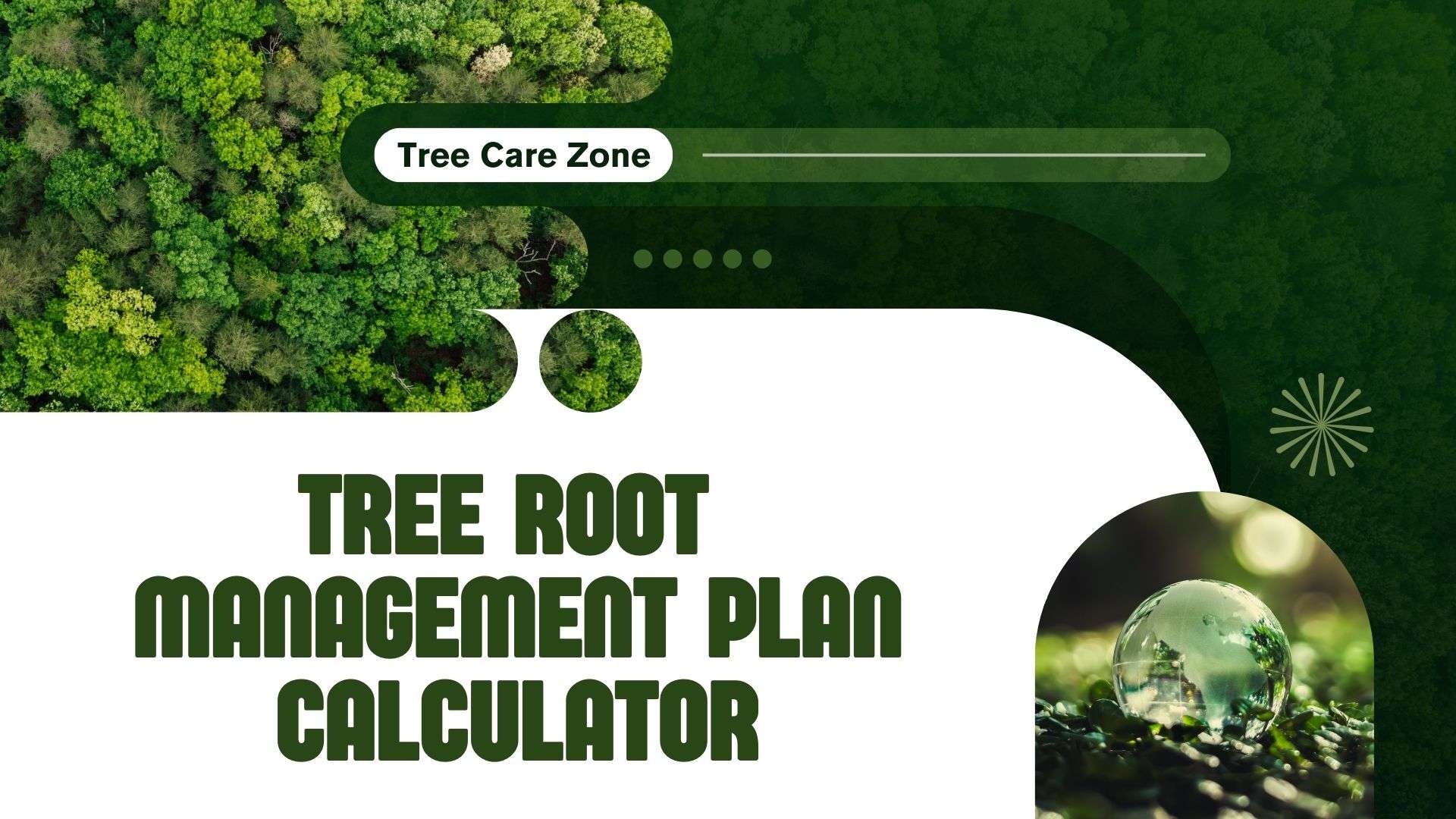 Tree Root Management Plan Calculator for Tree Protection