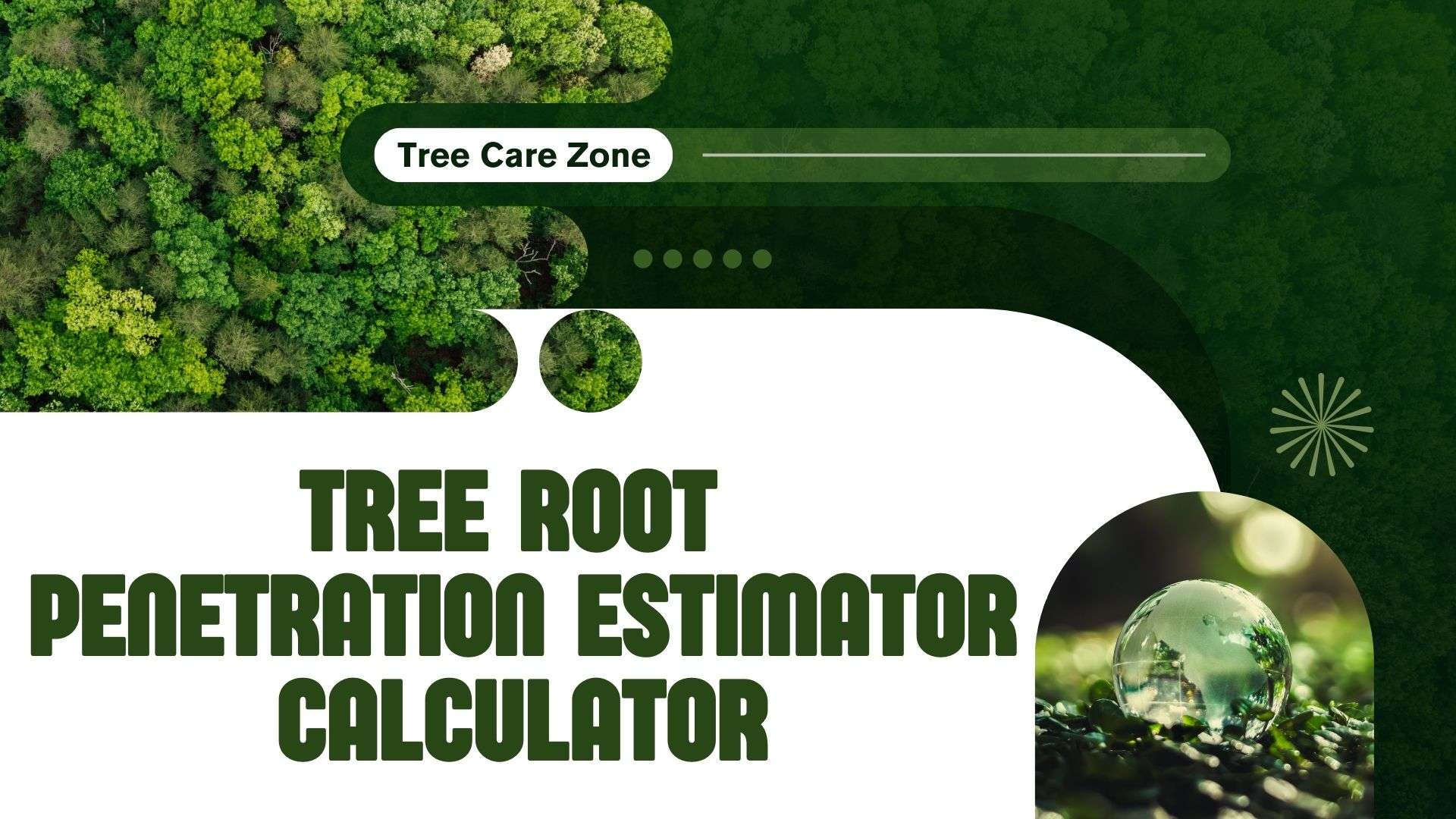 Tree Root Penetration Estimator Calculator | Tree Care
