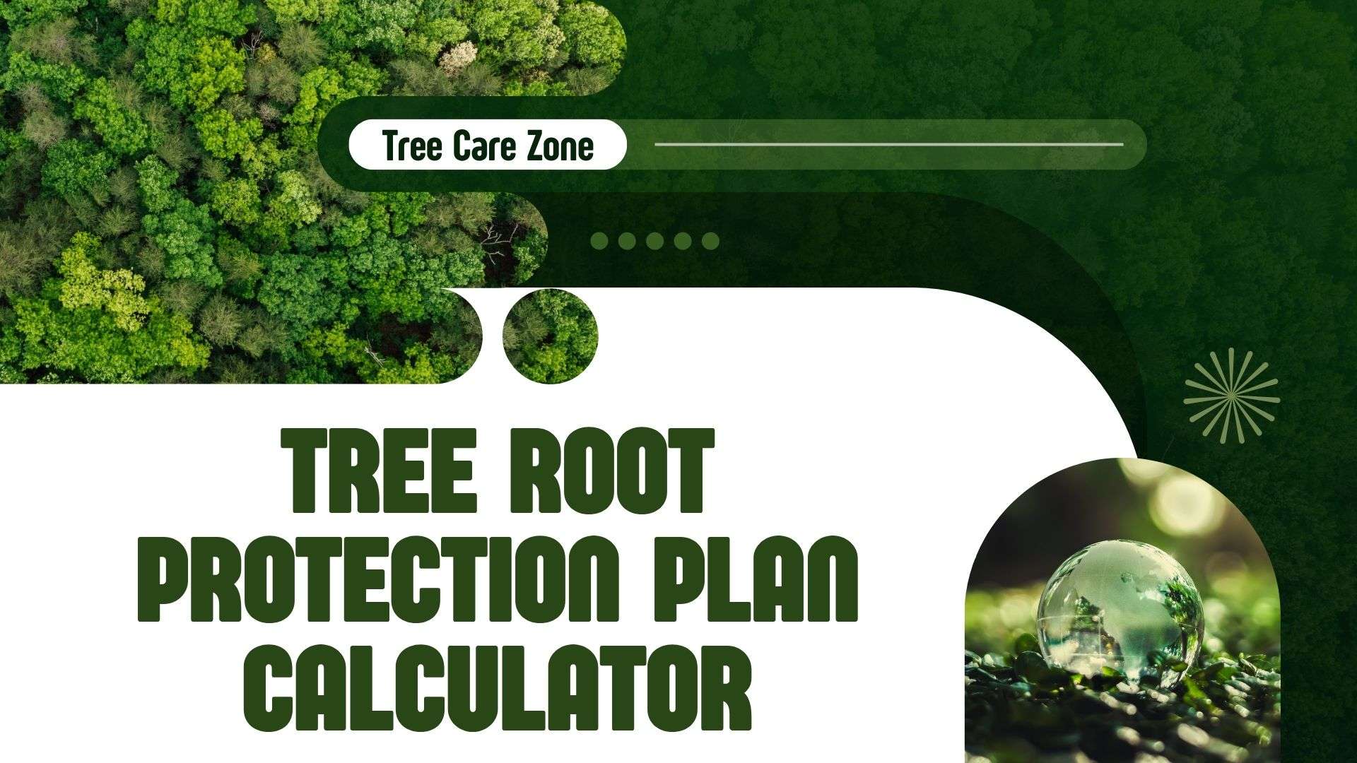 Tree Root Protection Plan Calculator Guide
