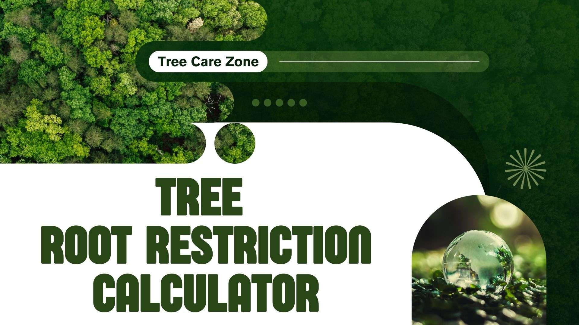 Tree Root Restriction Calculator: Protect Trees Easily
