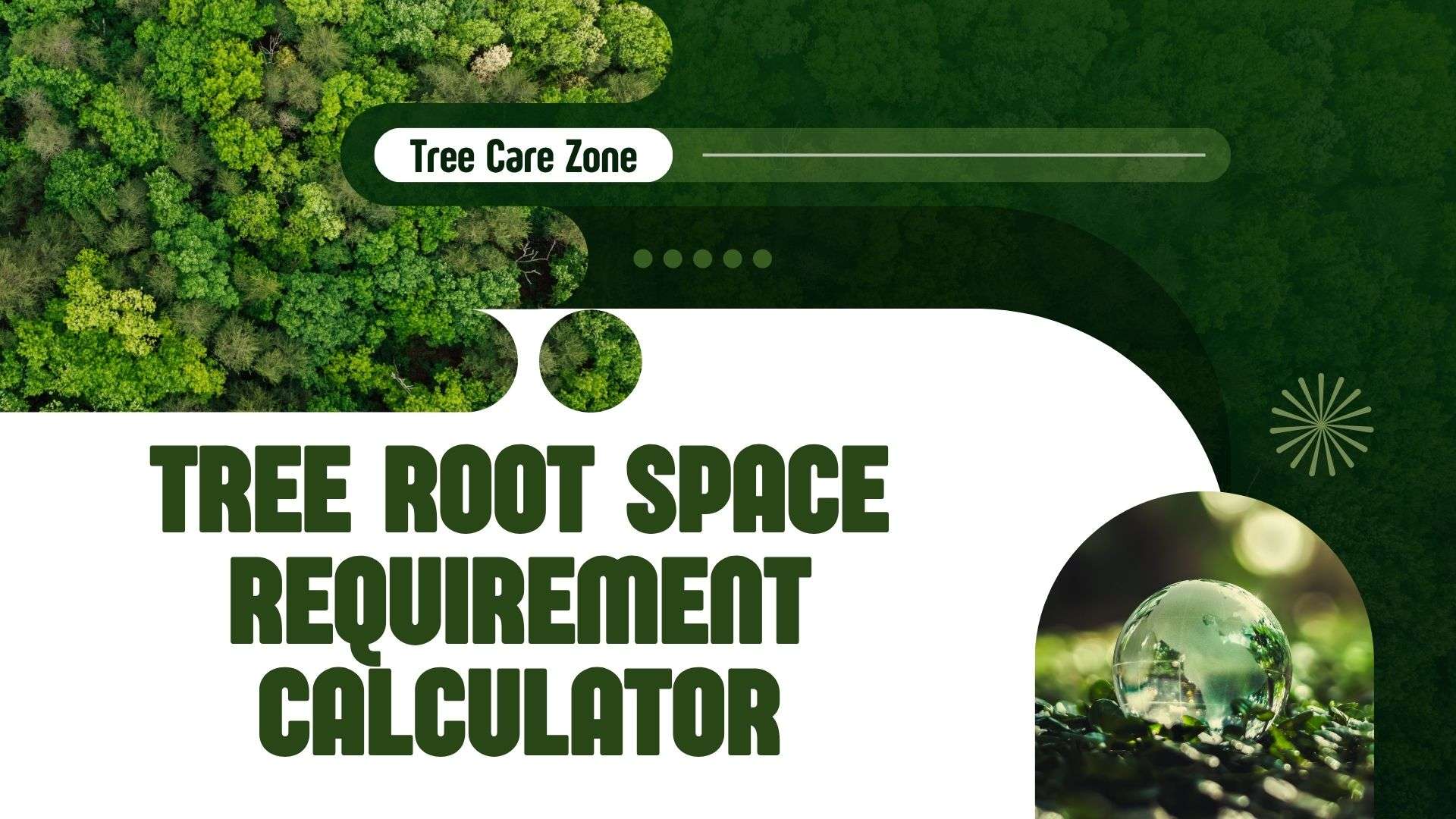 Tree Root Space Requirement Calculator Guide