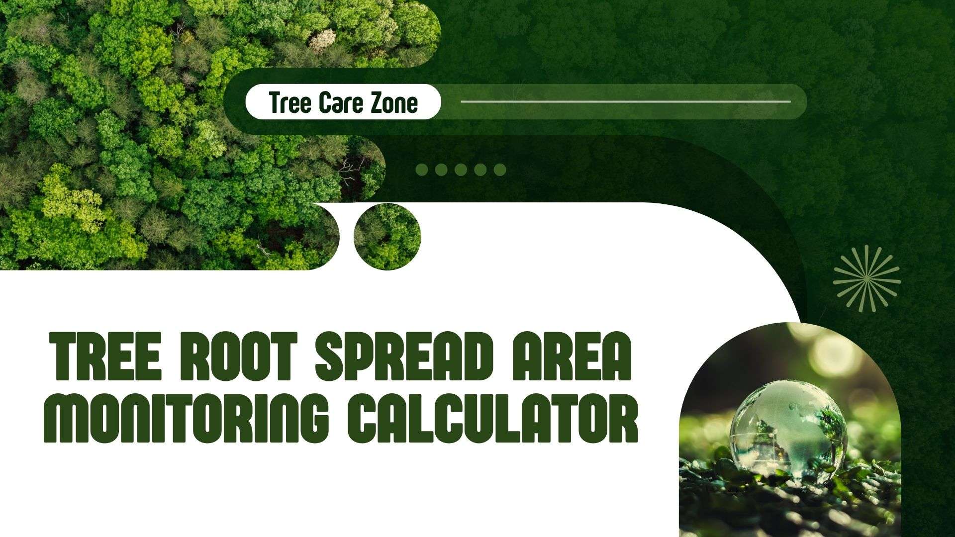 Tree Root Spread Area Monitoring Calculator Guide
