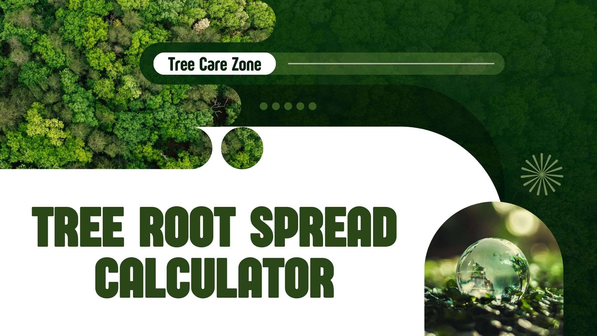 Tree Root Spread Calculator: Estimate Roots