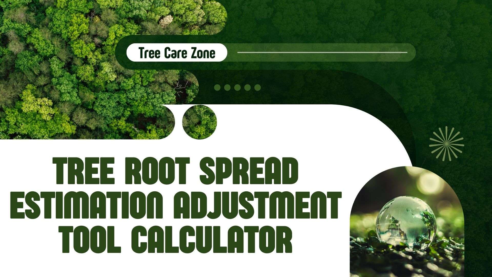 Tree Root Spread Estimation Adjustment Tool Calculator Guide