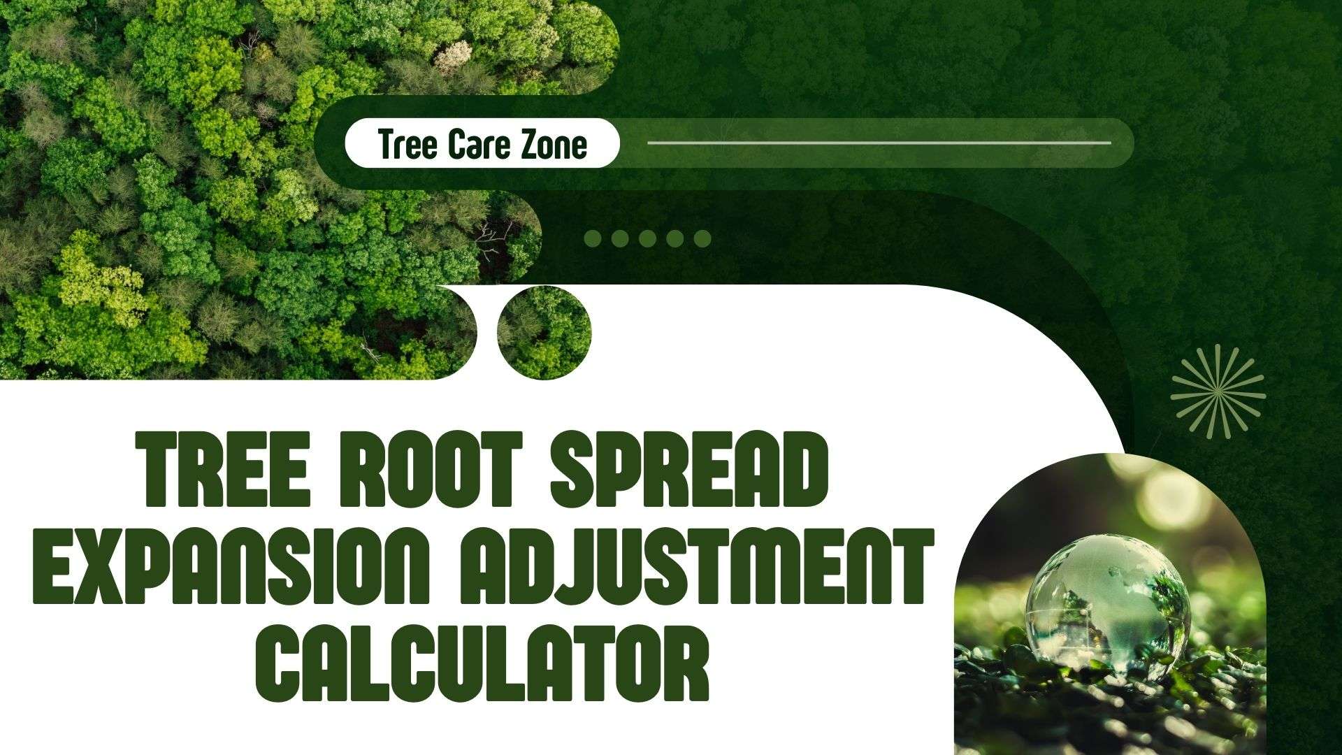 Tree Root Spread Expansion Adjustment Calculator Tool