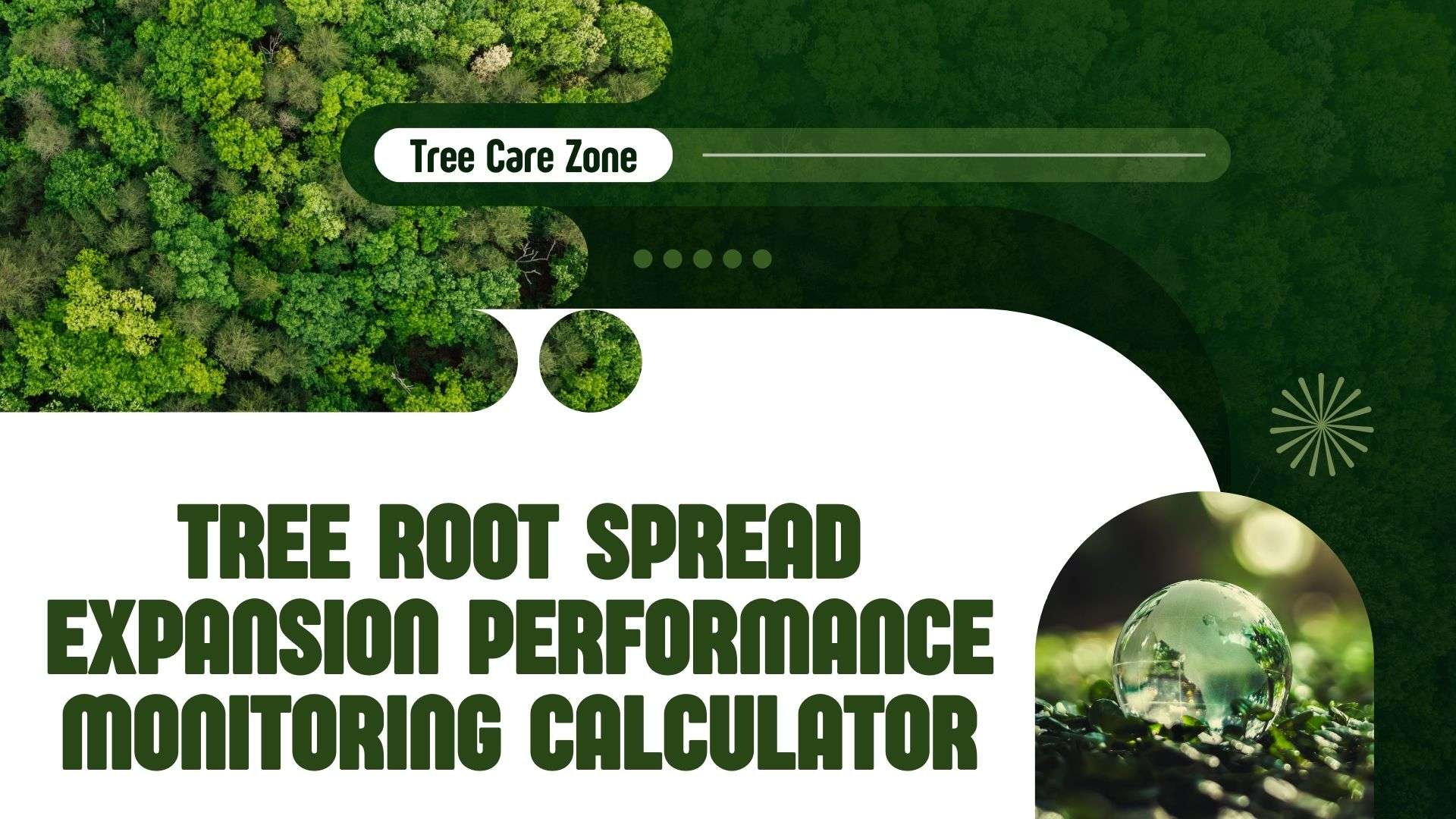 Tree Root Spread Expansion Performance Monitoring Calculator