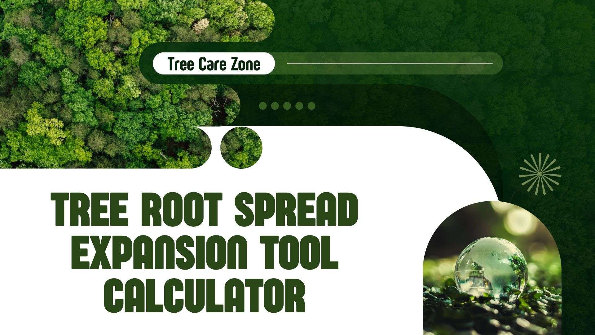 Tree Root Spread Expansion Tool Calculator Guide