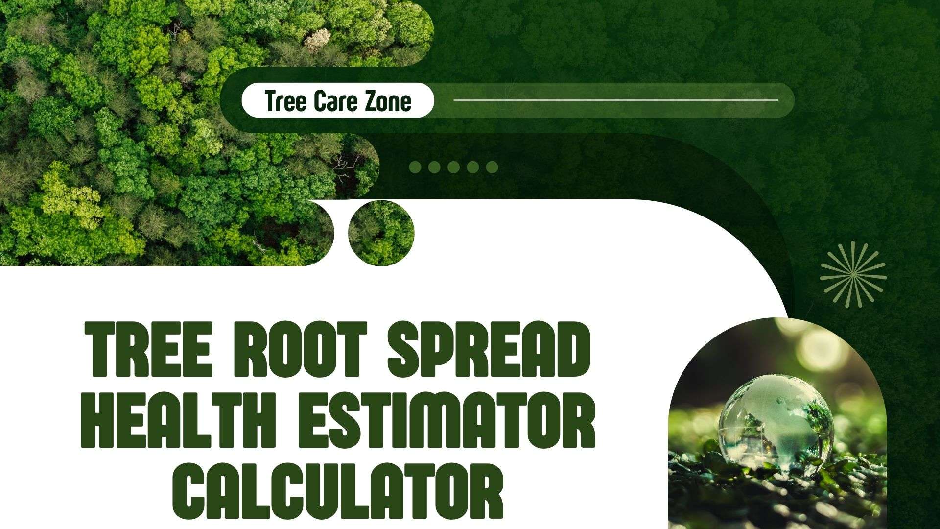 Tree Root Spread Health Estimator Calculator Tool