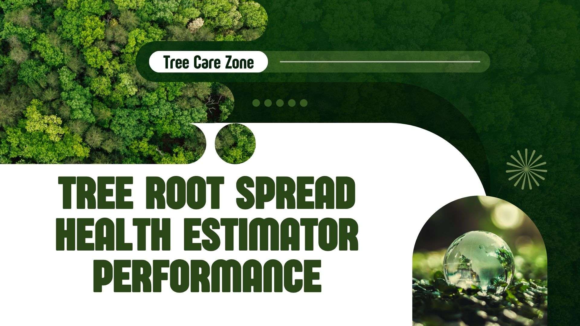 Tree Root Spread Health Estimator Performance Tool