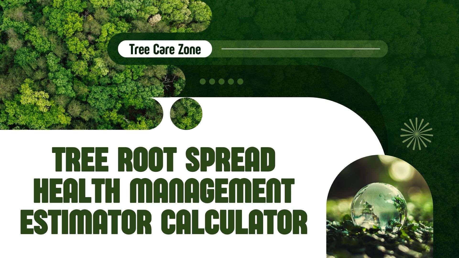 Tree Root Spread Health Management Estimator Calculator Tool