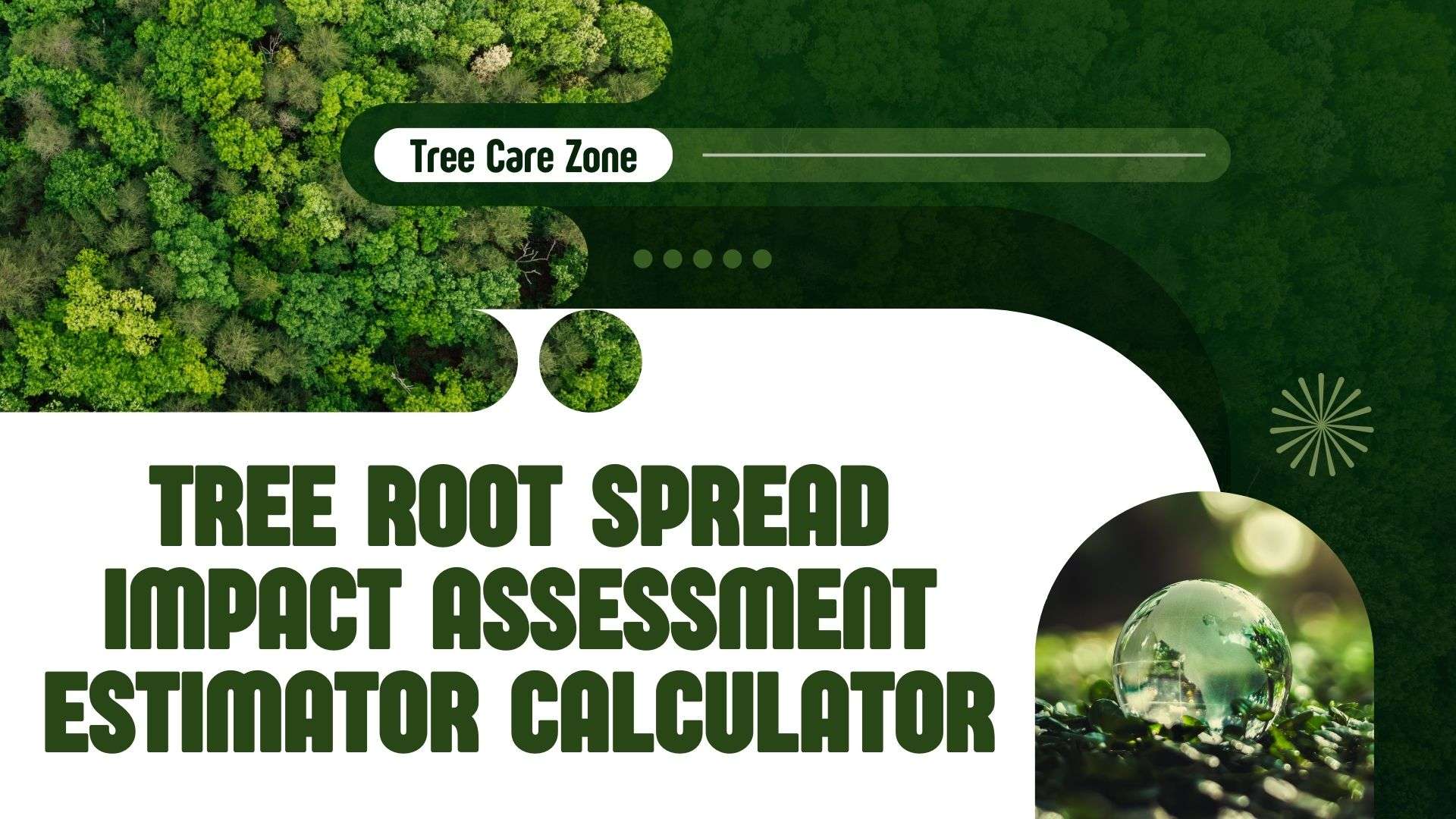 Tree Root Spread Impact Assessment Estimator Calculator Guide