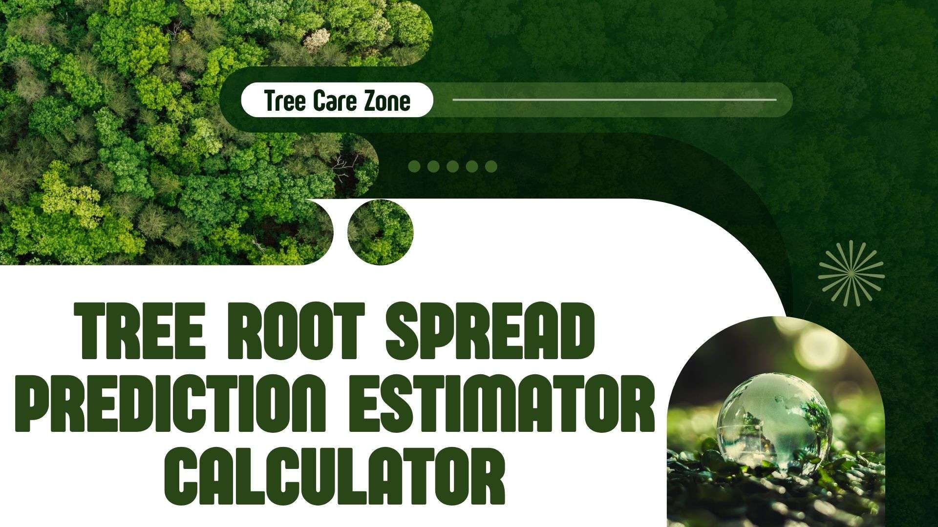 Tree Root Spread Prediction Estimator Calculator Guide
