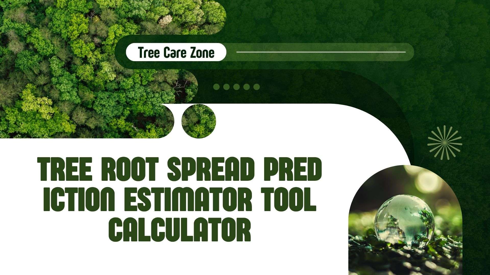 Tree Root Spread Prediction Estimator Tool Calculator Guide